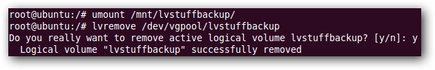 How to Manage and Use LVM (Logical Volume Management) in Ubuntu