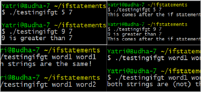 The Beginner's Guide to Shell Scripting 4: Conditions & If-Then Statements