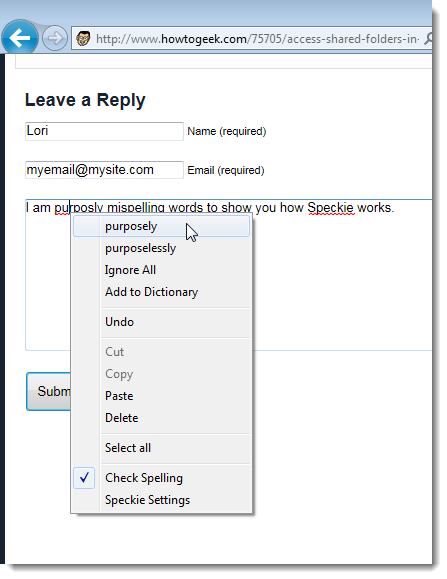 Add Spell Checking to Internet Explorer 9