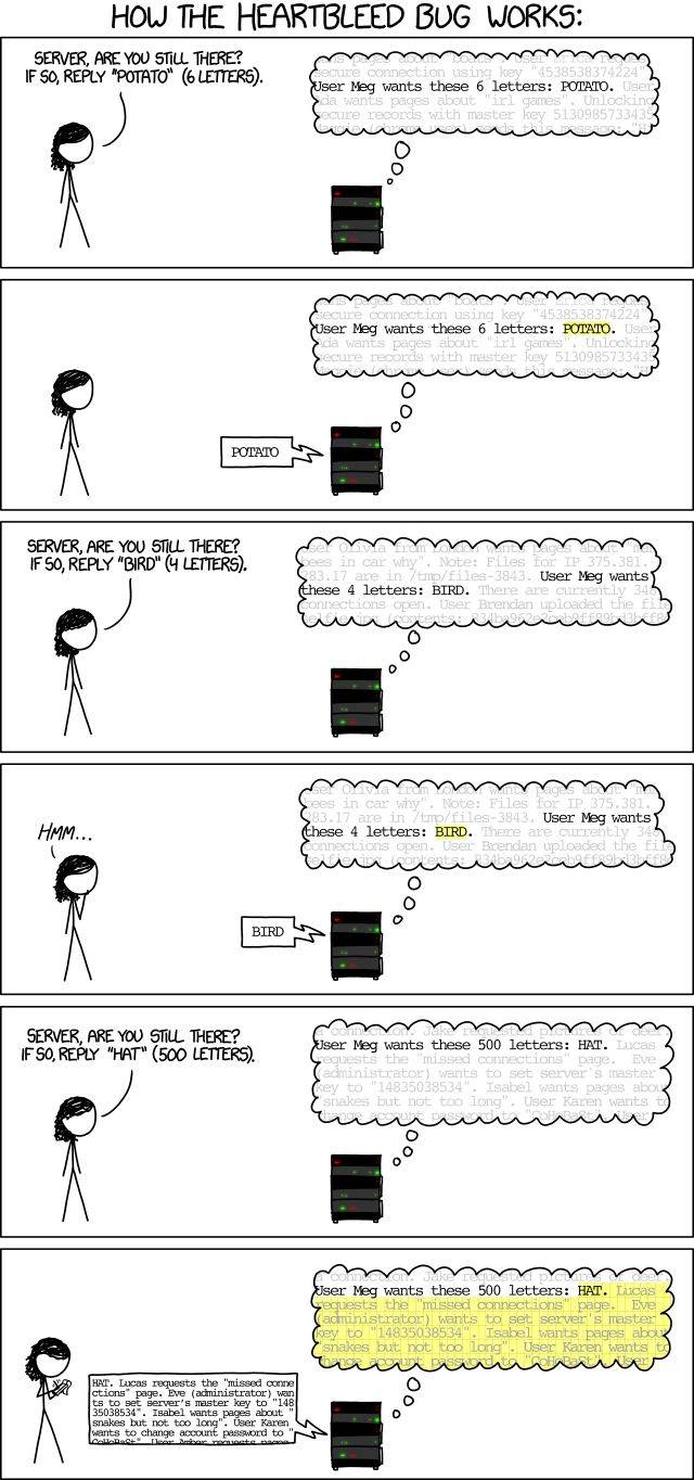 Heartbleed Explained: Why You Need to Change Your Passwords Now