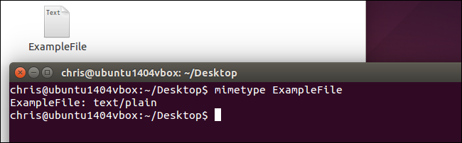 MIME Types Explained: Why Linux and Mac OS X Don't Need File Extensions