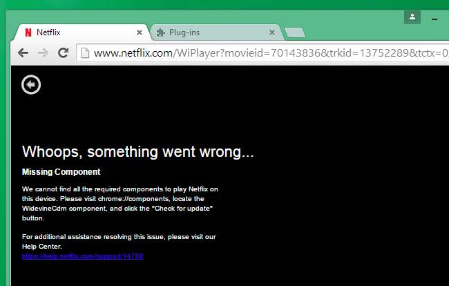 Google Chrome Includes 5 Browser Plug-ins, and Here's What They Do