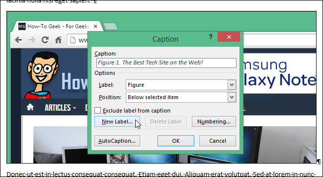 How to Add and Delete Custom Caption Labels in Word 2013