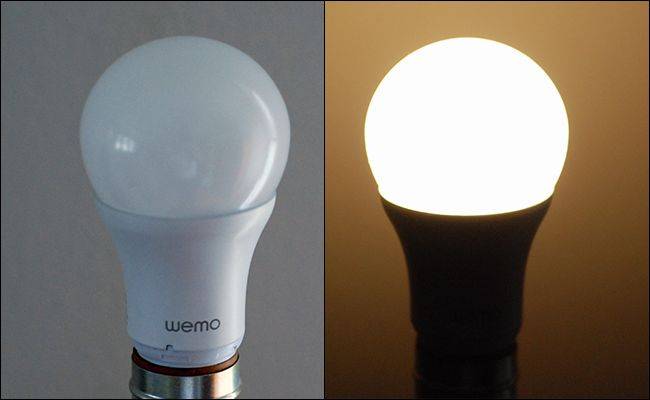 Do LED Light Bulbs Really Last 10 Years?