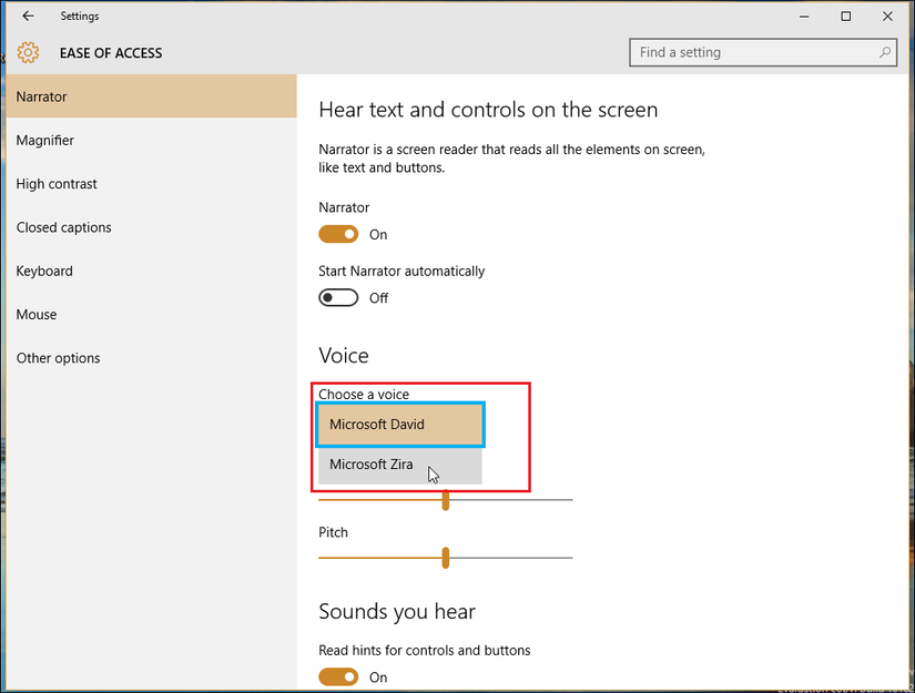 How to Manage Accessibility Features in Windows 10