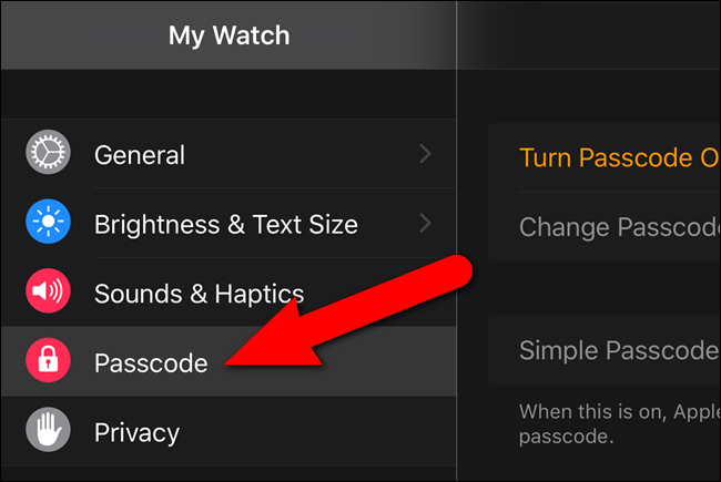 How to Set Up and Use a Passcode on Apple Watch