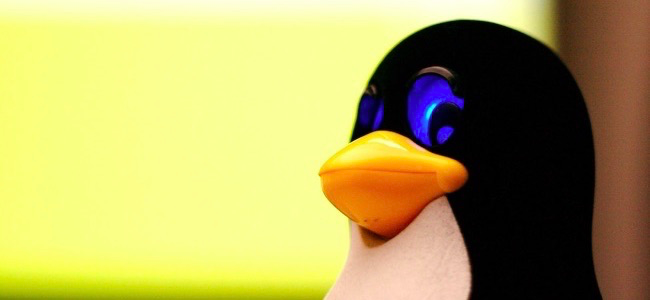 Everything You Need to Know About Watching DRM'd Media on Linux