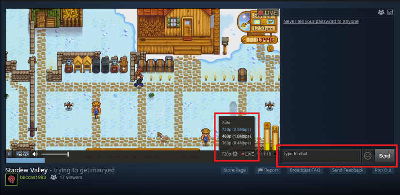 How to Broadcast Your Games Online with Steam
