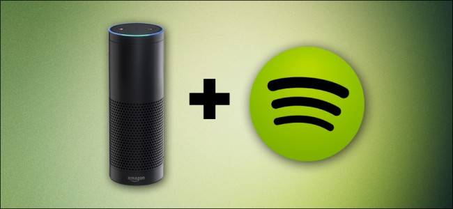How to Play Spotify Music on the Amazon Echo