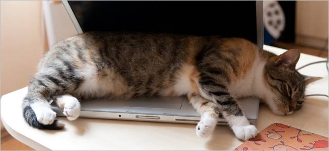 What Are “Magic Packets” for Waking Computers?