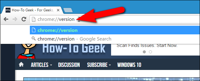 chrome snapshots folder