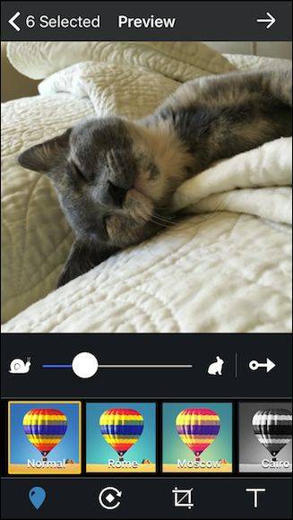 The Easiest Ways to Create Animated GIFs on Any Platform