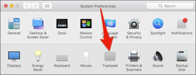 How to Enable Key Repeating in macOS