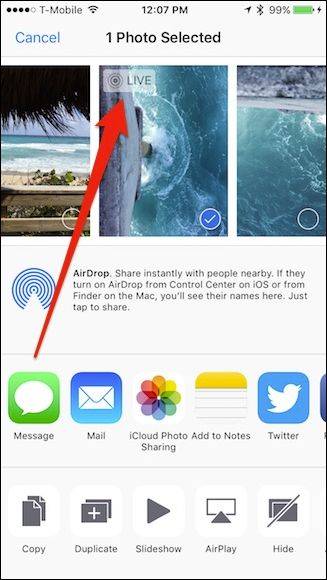 How to Take Awesome Live Photos with Your iPhone