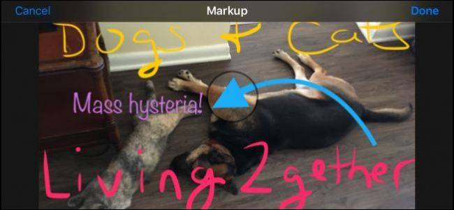 How to Mark Up and Share Your Apple Photos