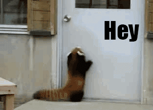 How to Overlay Text (or Anything Else) Over Animated GIFs in Photoshop