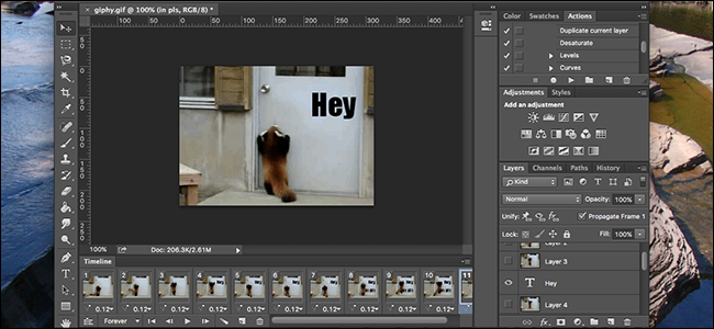How Do I Edit Text In A Gif
