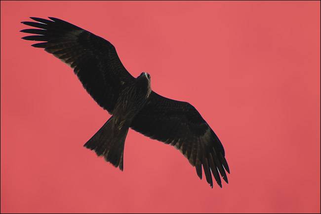 How to Make More Precise Selections with Photoshop's Select and Mask