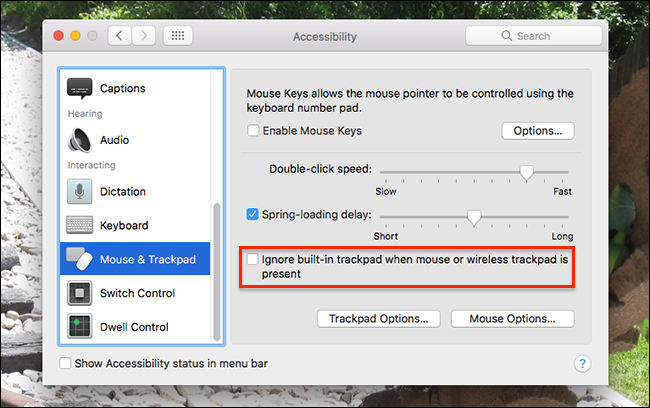 How to Disable Your Mac's Touchpad When Another Mouse Is Connected