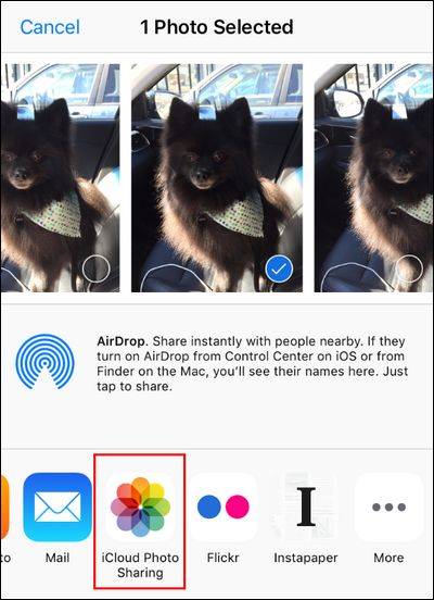 How to Create Shared and Collaborative Photo Albums on Your iPhone
