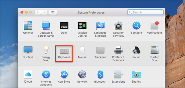 How to Disable Caps Lock in macOS
