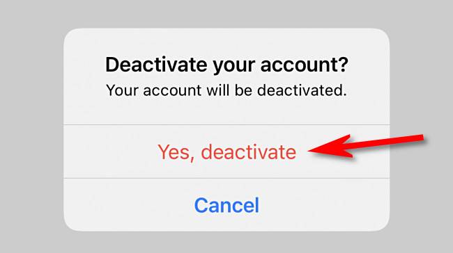 How to Delete Your Twitter Account