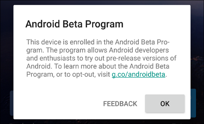 How to Get the Android O Beta on Your Pixel or Nexus Device Right Now