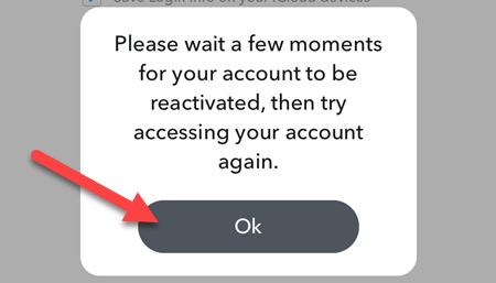 How to Delete a Snapchat Account