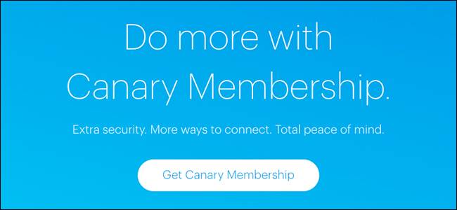 Canary’s Free Tier May Have Changed, But It Still Offers More Than ...