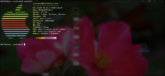 Instantly Open a Full Screen Terminal On Your Mac Using a Keyboard Shortcut