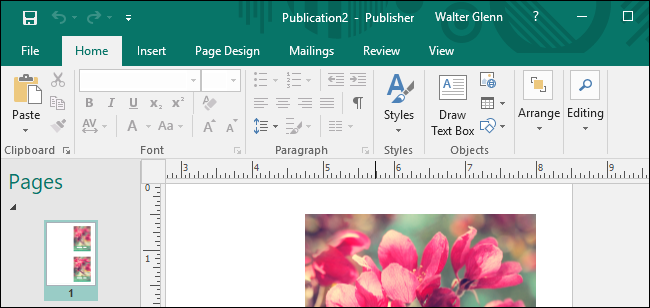 What's the Difference Between Microsoft Office for Windows and macOS?