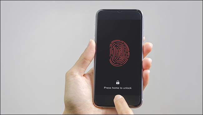 What Is Touch ID on iPhone, iPad, and Mac?