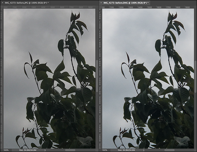 How to Shoot RAW Photos on Your iPhone