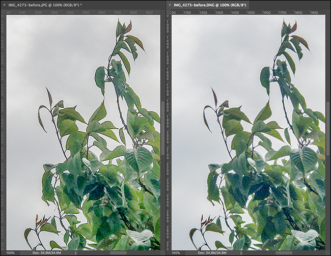 How to Shoot RAW Photos on Your iPhone