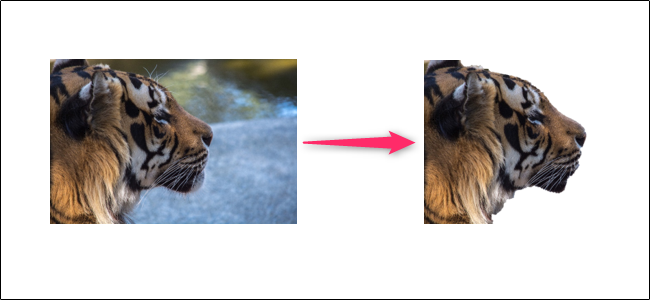 How to Remove the Background from a Picture in Microsoft Word