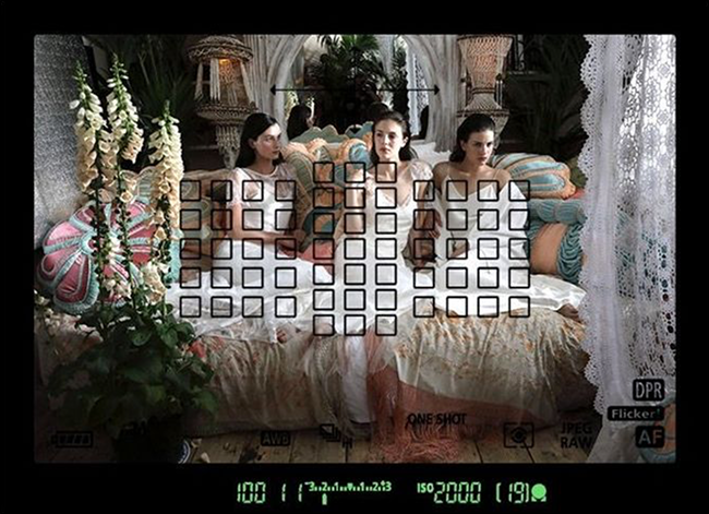 How to Get the Most from Autofocus With Your Camera