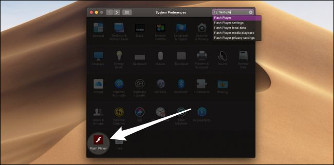 How to Install and Update Flash on Your Mac