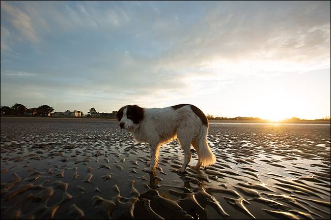 How to Assess and Analyze a Good Photo