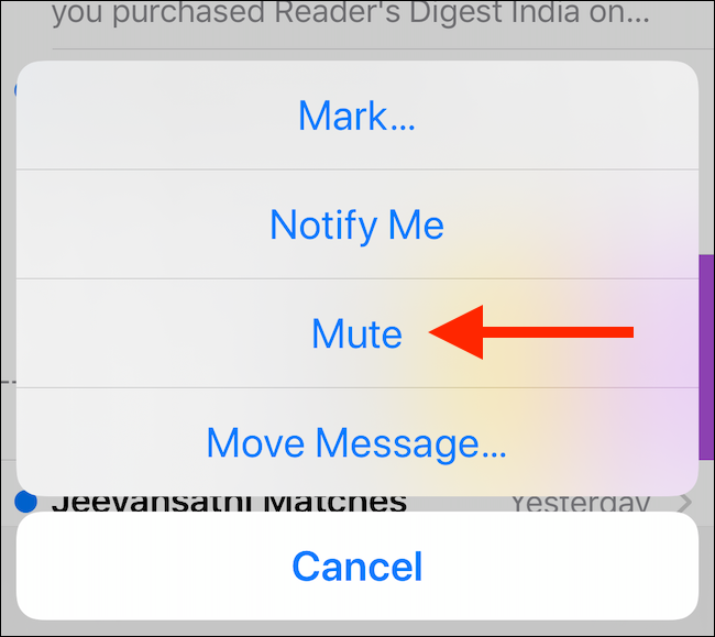 How to Mute Mail Threads on iPhone, iPad, and Mac