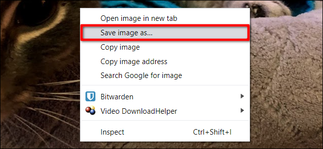 How to Print Photos in Windows 10