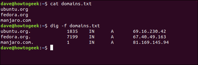 How to Use the dig Command on Linux