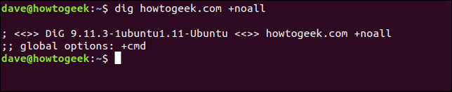 How to Use the dig Command on Linux