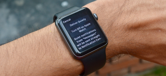 How to Quickly Turn Off Annoying Notifications on Apple Watch