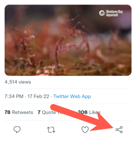How to Embed Someone's Twitter Video Without Retweeting Them