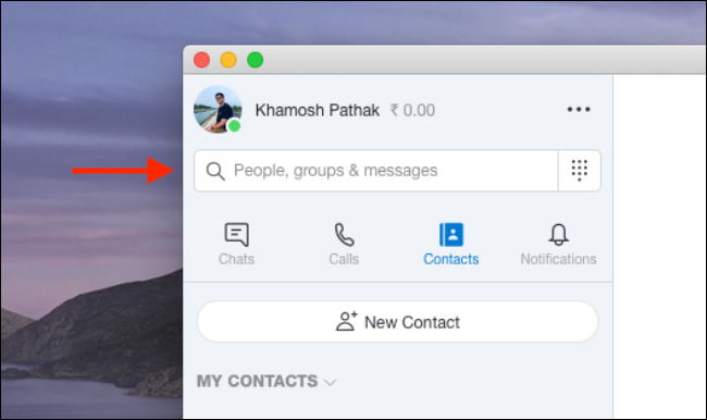 How to Make Voice and Video Calls on Skype