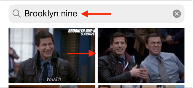 How to Send GIFs on WhatsApp