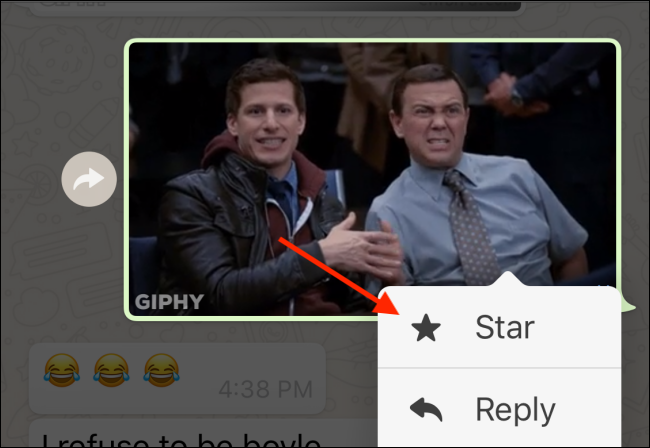 How to Send GIFs on WhatsApp