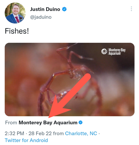 How to Embed Someone's Twitter Video Without Retweeting Them