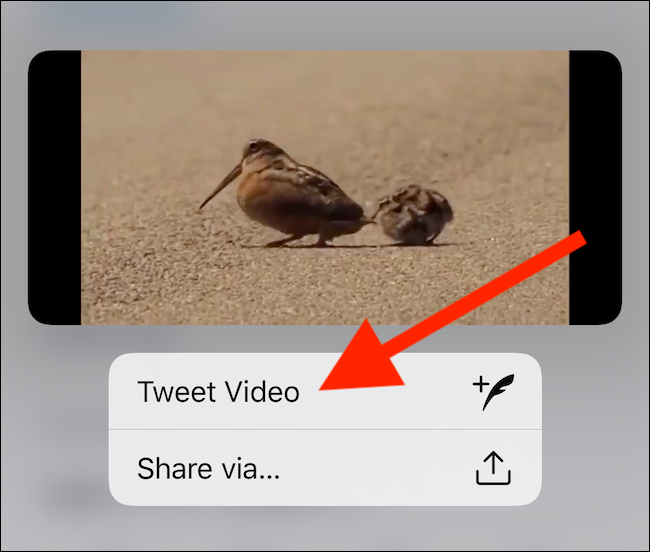 How to Embed Someone's Twitter Video Without Retweeting Them