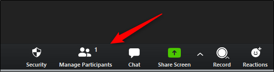 How to Add a Co-Host to a Zoom Meeting